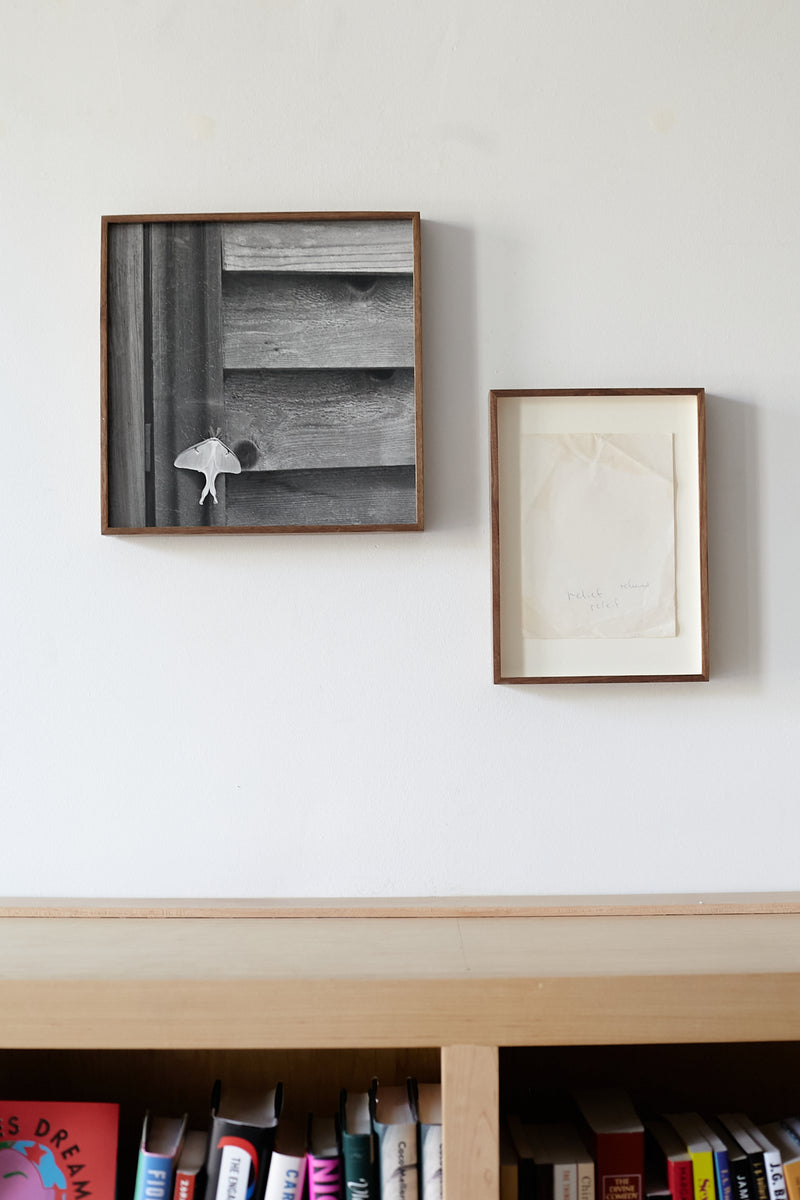 Emily Rosser – des pair books